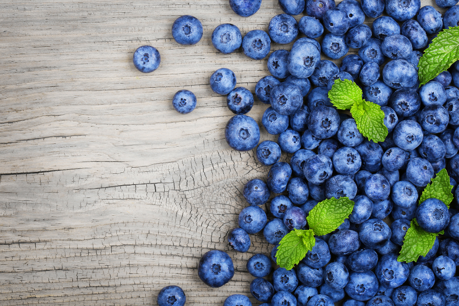 ブルーベリーがボディメイク・ダイエットに万能すぎる話 – UOKIN LABO｜魚筋ラボ