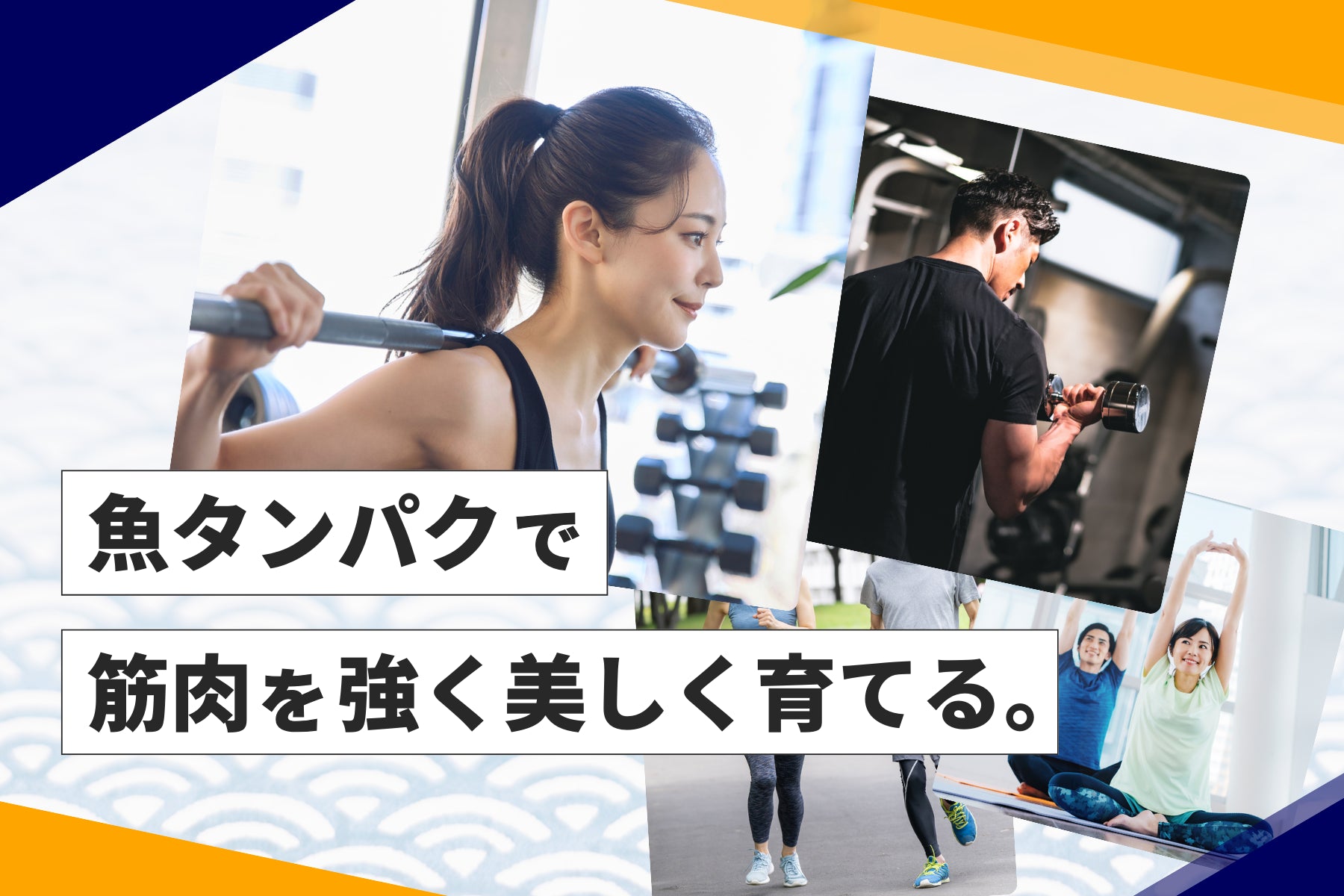 UOKIN LABO ｜魚タンパクで筋肉を強く美しく育てる – UOKIN LABO｜魚筋ラボ